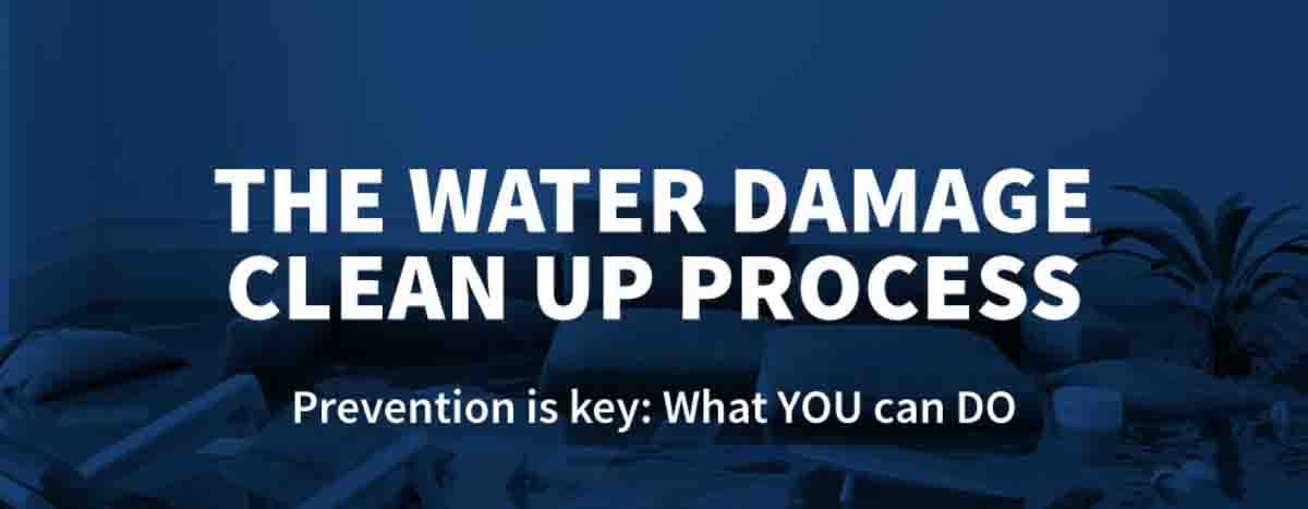 The Water Damage Clean Up Process - Emergency Mitigation Services